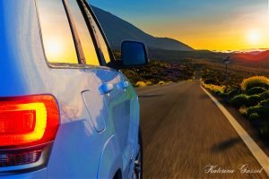 Utah Driver's License Guide: Seamless State Switching